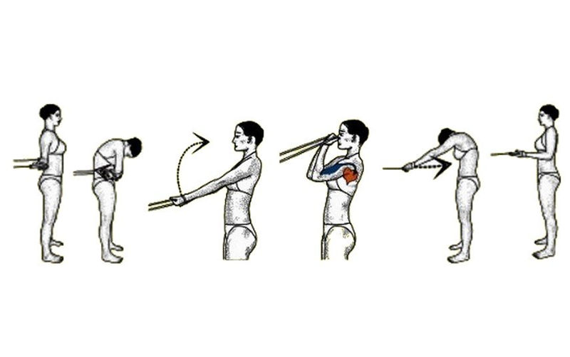 Cvičení SM Systém | Cvičení Natali